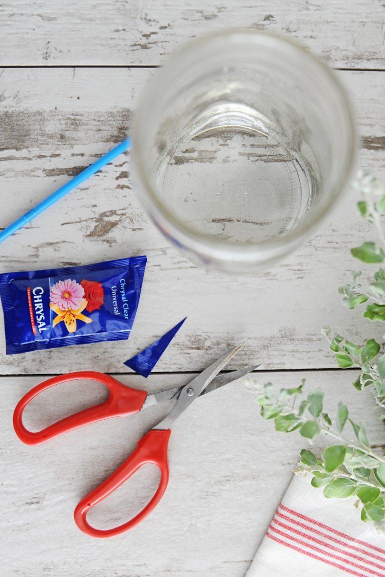 How to Turn Everyday Items into a Vase — Pink Peppermint Design