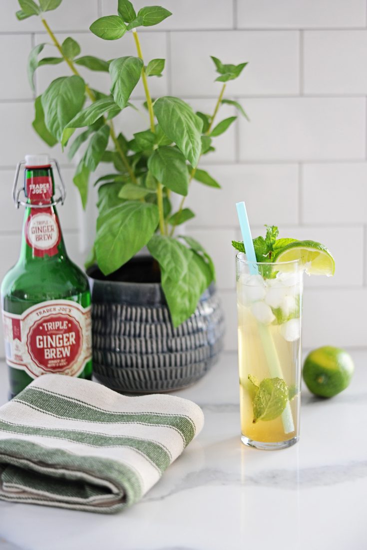 Delicious Ginger Mocktail with Mint & Lime — Pink Peppermint Design