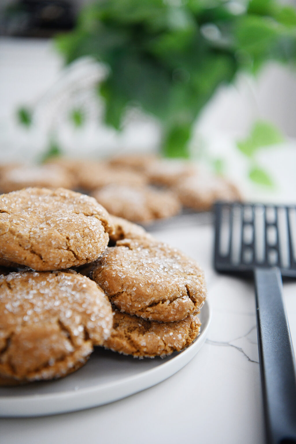 Delicious Soft & Chewy Ginger Molasses Cookie Recipe — Pink Peppermint ...
