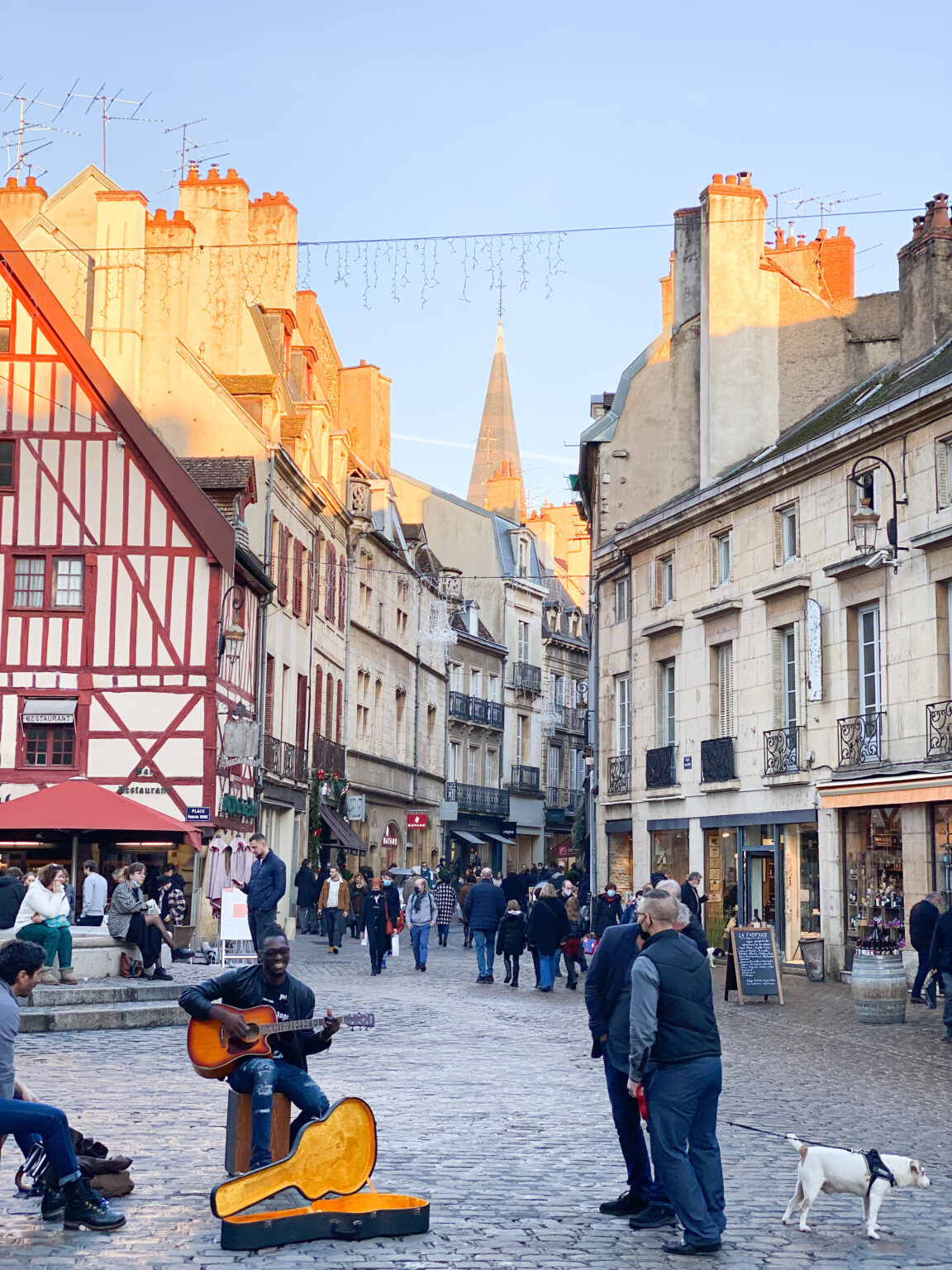 Traveling to Dijon France : Dijon Hotels, Mustard & More — Pink ...