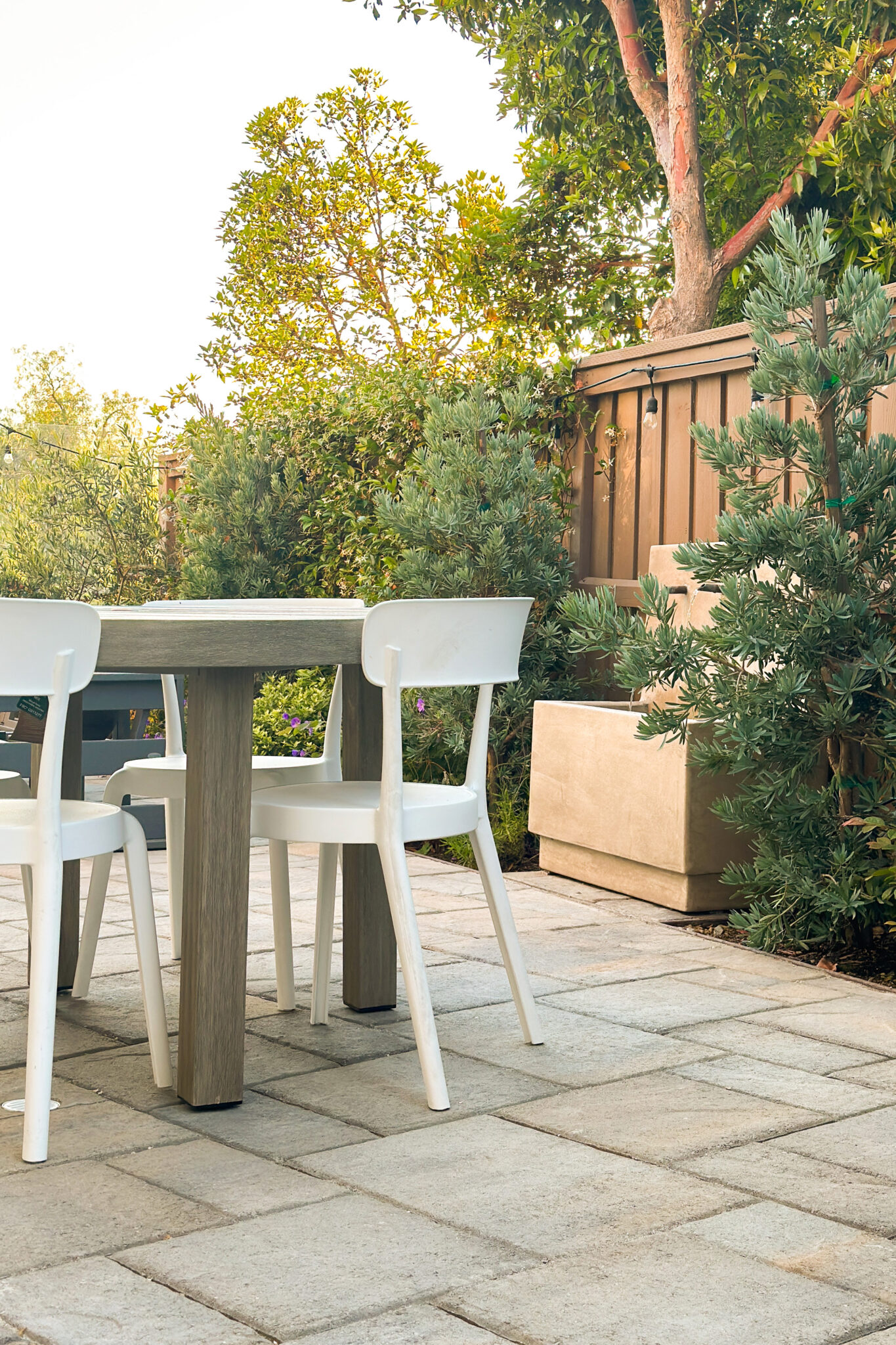 Italian Inspired Backyard Remodel — Pink Peppermint Design