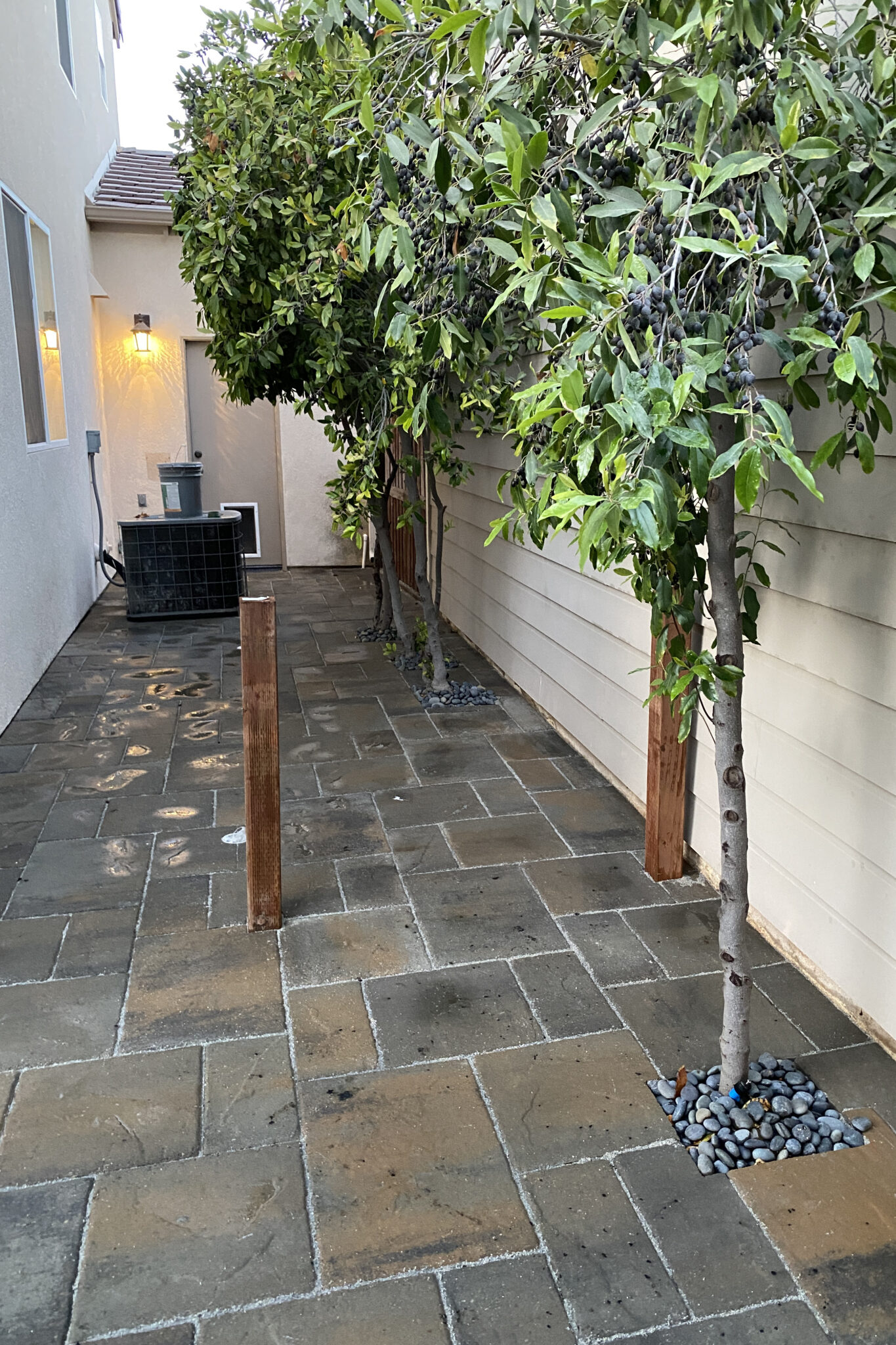 Italian Inspired Backyard Remodel — Pink Peppermint Design